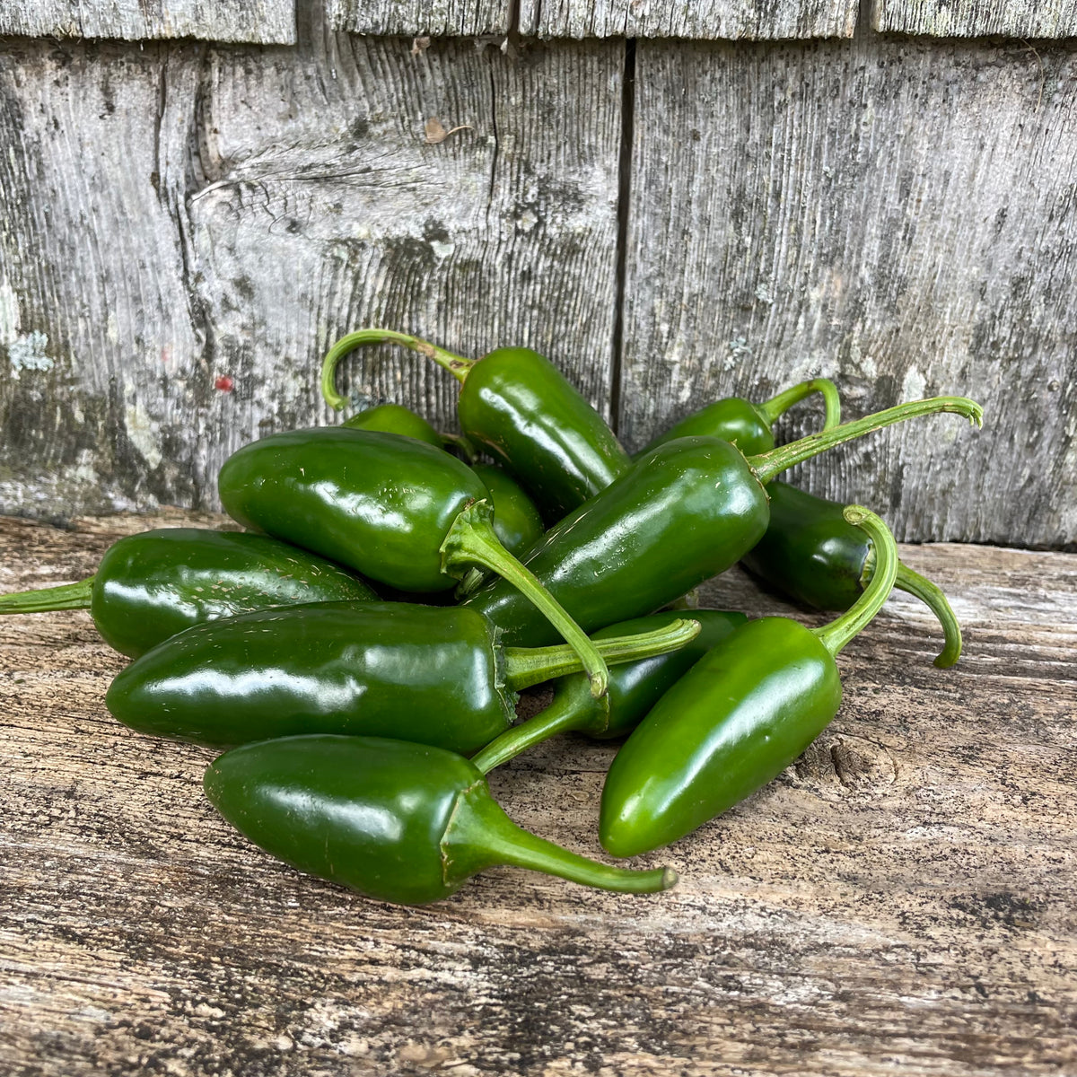 Hot Peppers – Revival Seeds