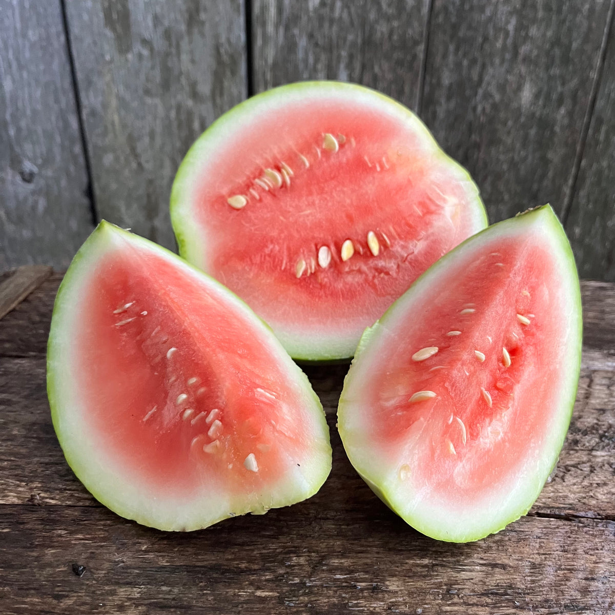 Dixie Queen Watermelon – Revival Seeds
