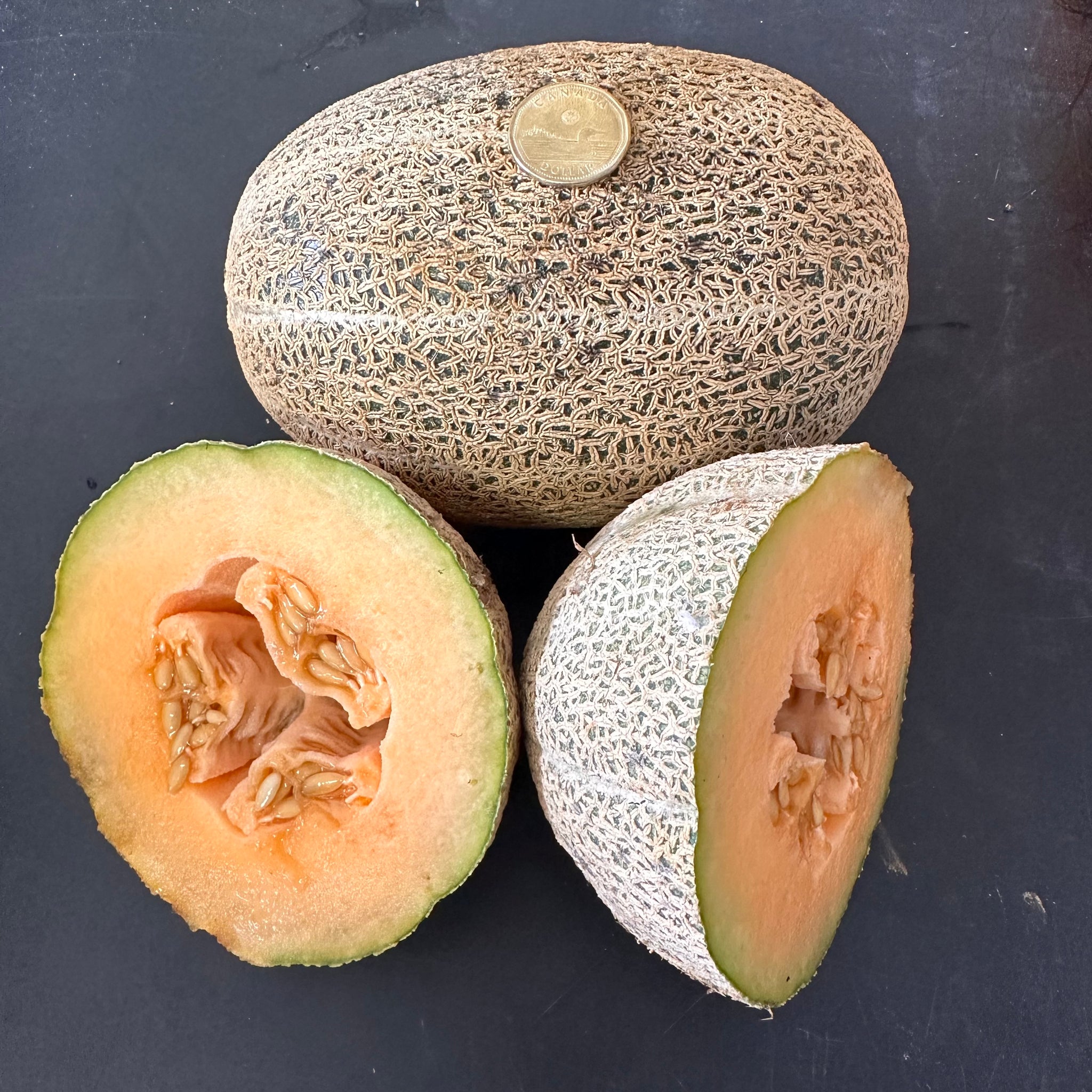 Iroquois Melon – Revival Seeds