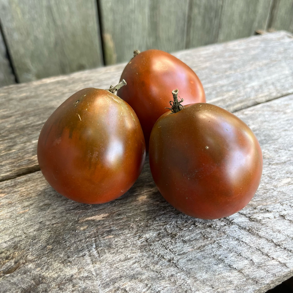 Japanese Trifele Tomato – Revival Seeds