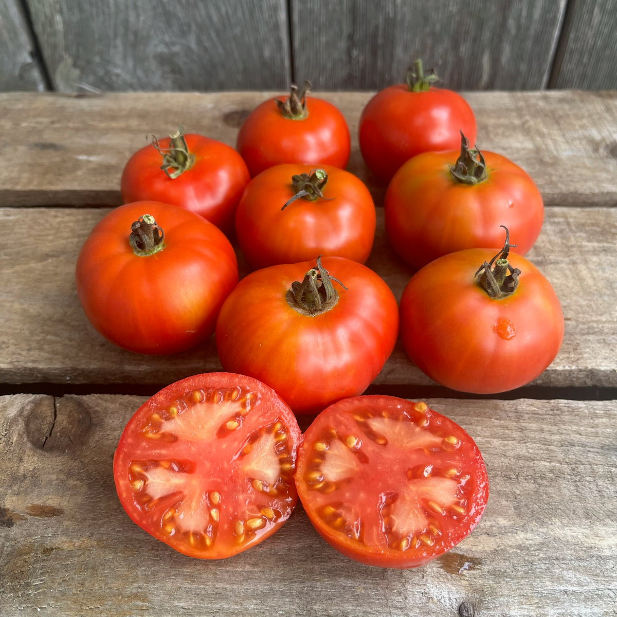 Lida Ukrainian Tomato – Revival Seeds