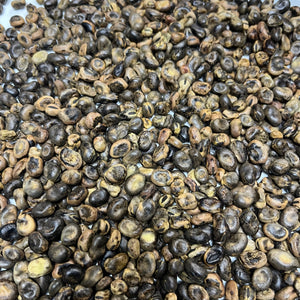 Martoc Fava Bean – Revival Seeds