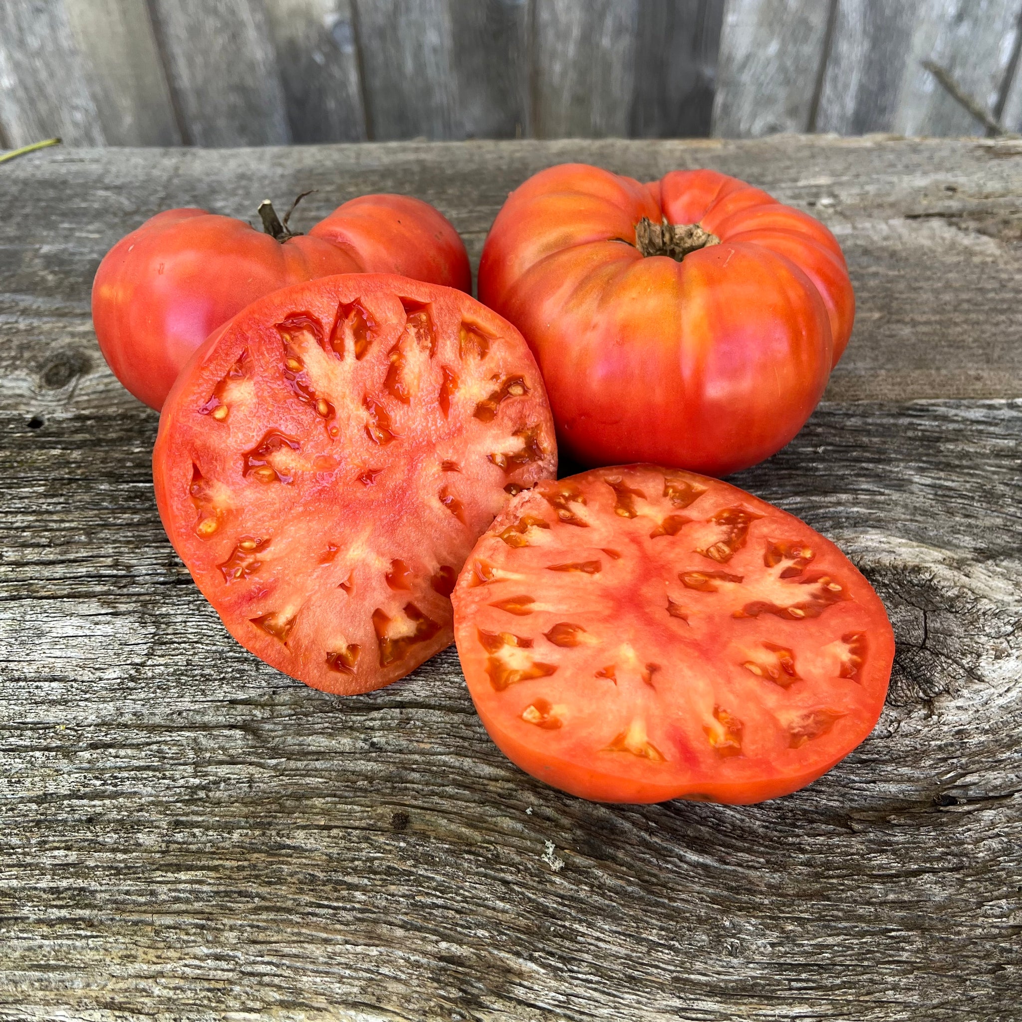 Ann Kolasar Tomato – Revival Seeds