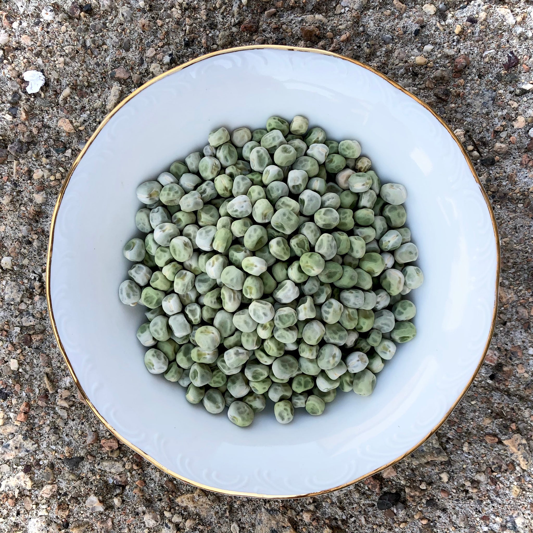 Arthur Reid Canning Pea – Revival Seeds