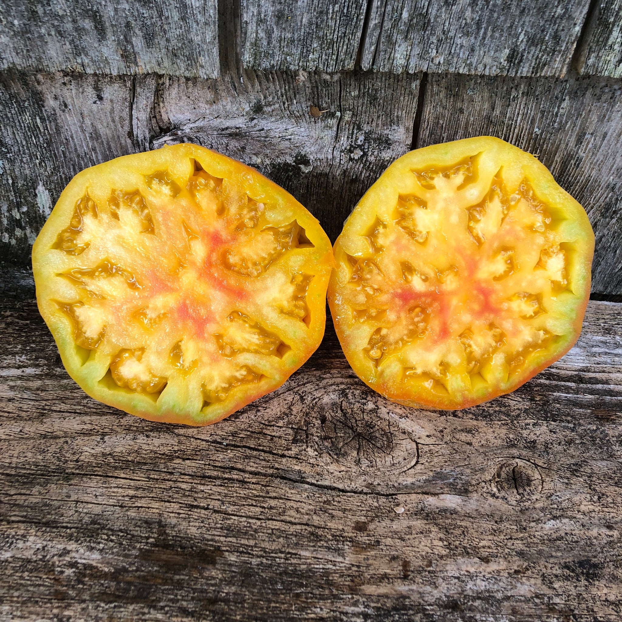 Striped German Tomato – Revival Seeds