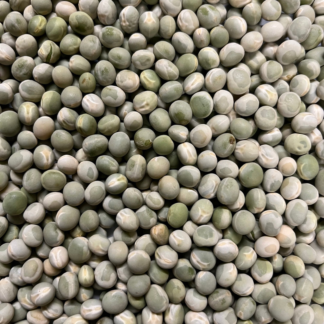 Prussian Blue Pea – Revival Seeds