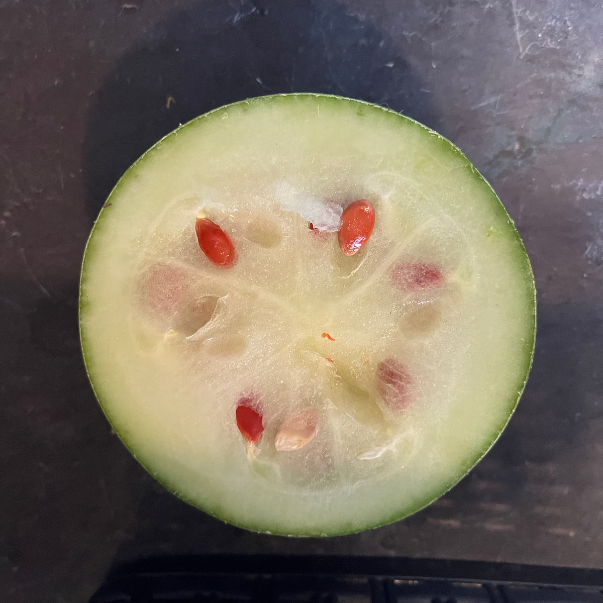 Red Seeded Citron Watermelon – Revival Seeds