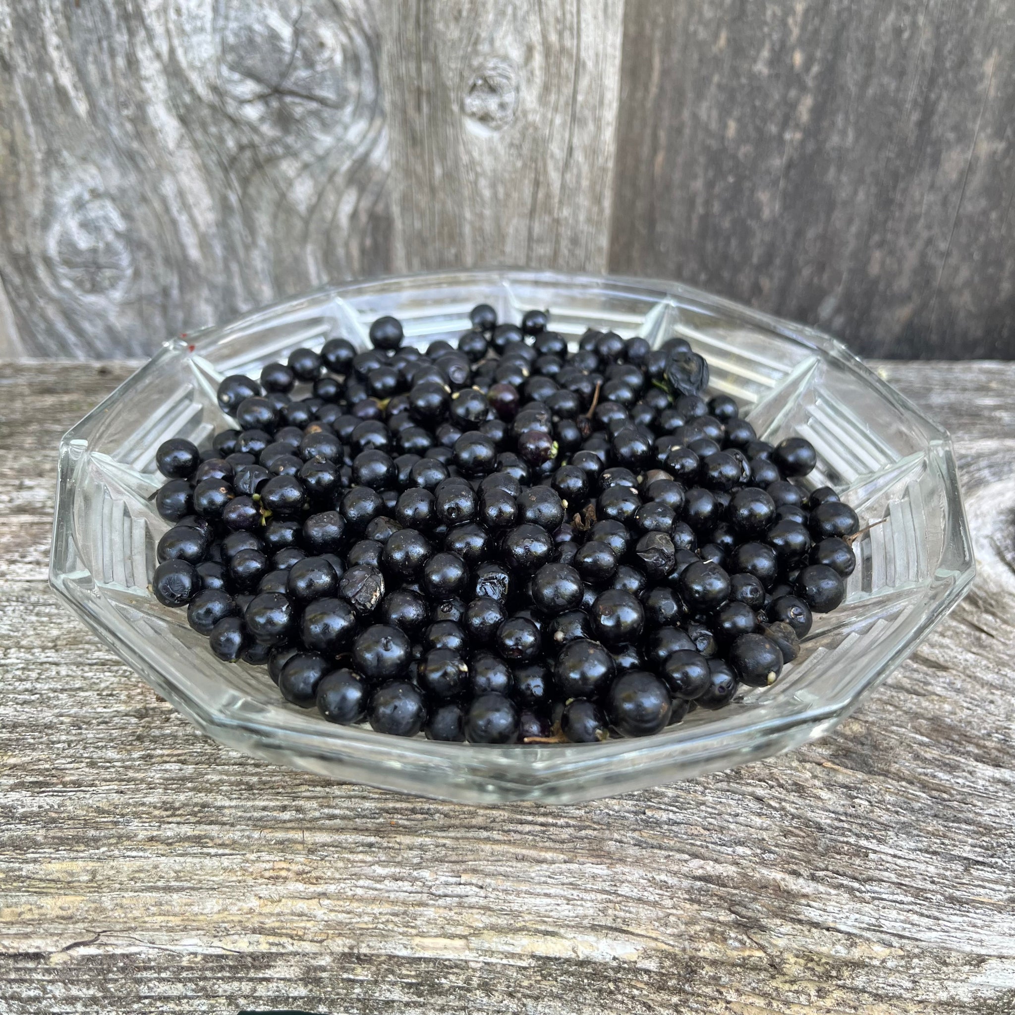 Wonderberry – Revival Seeds