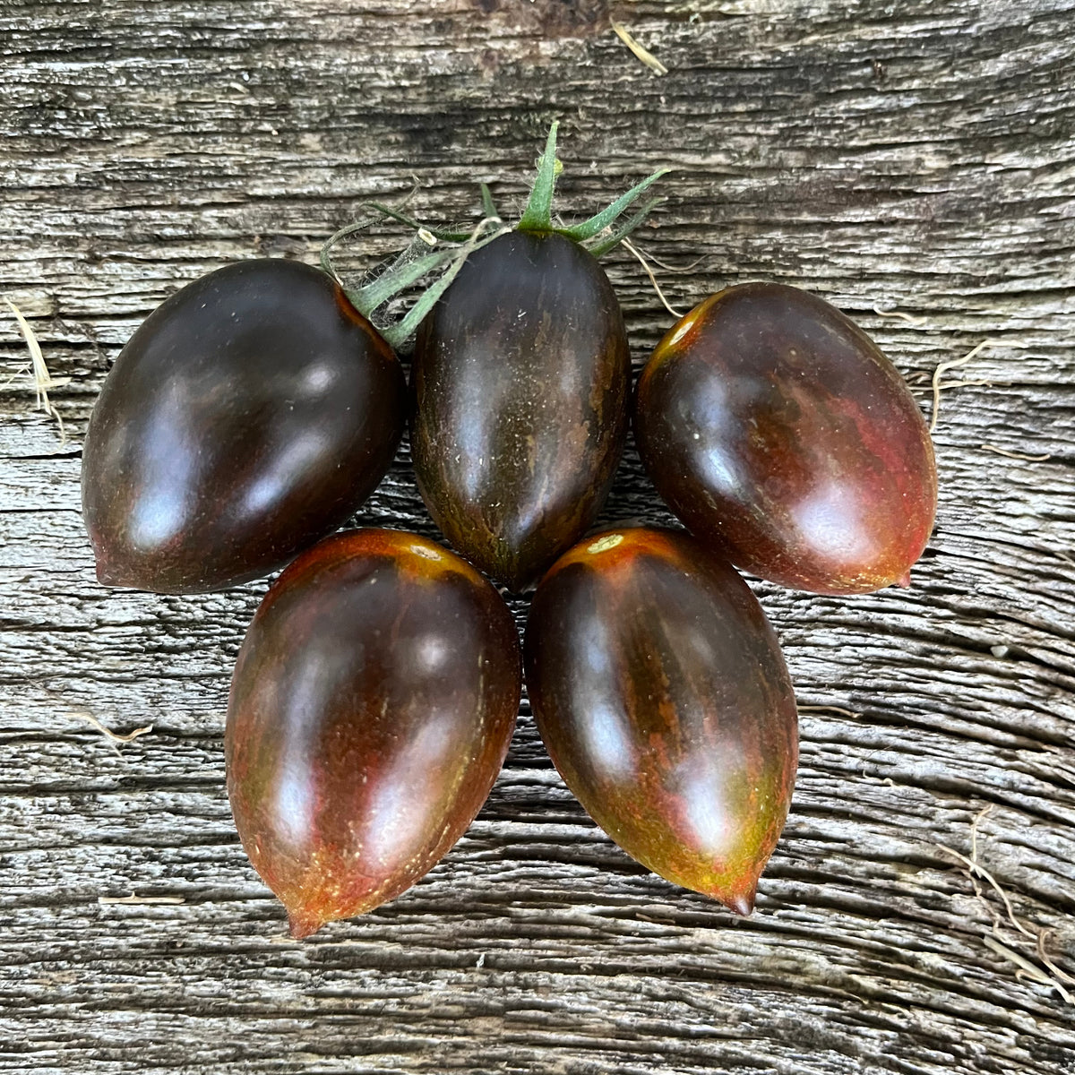 Atomic Grape 'Golden Boy' Tomato – Revival Seeds
