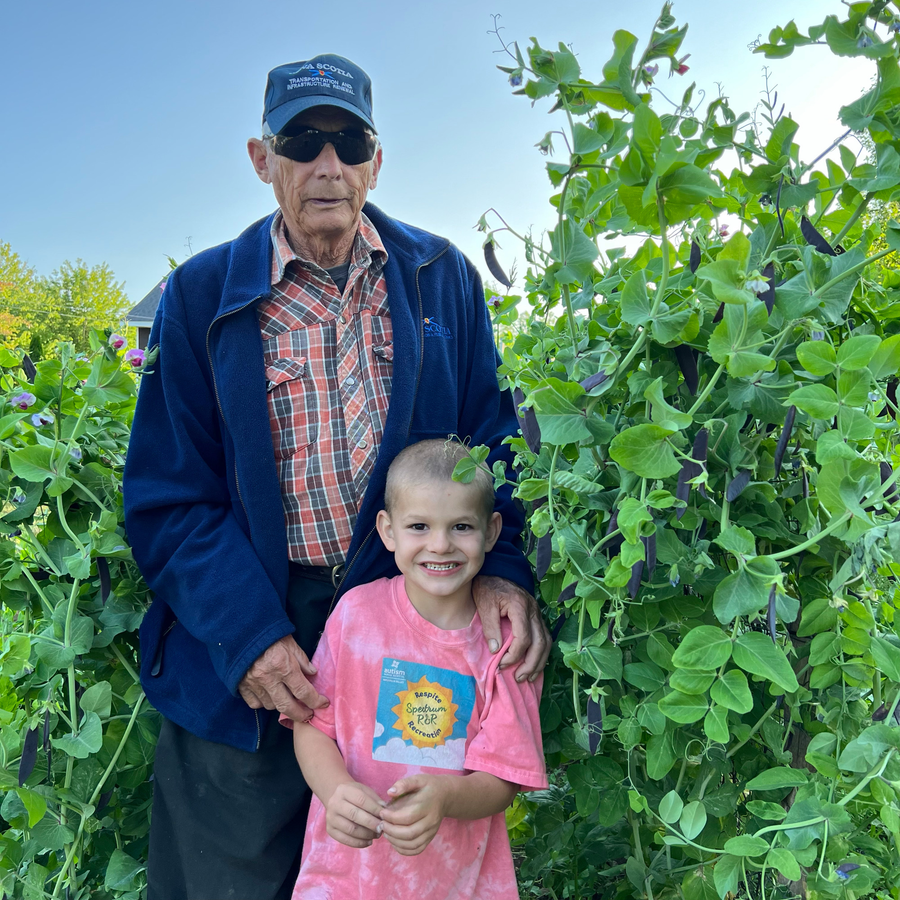 Blue Podded Shelling Pea – Revival Seeds